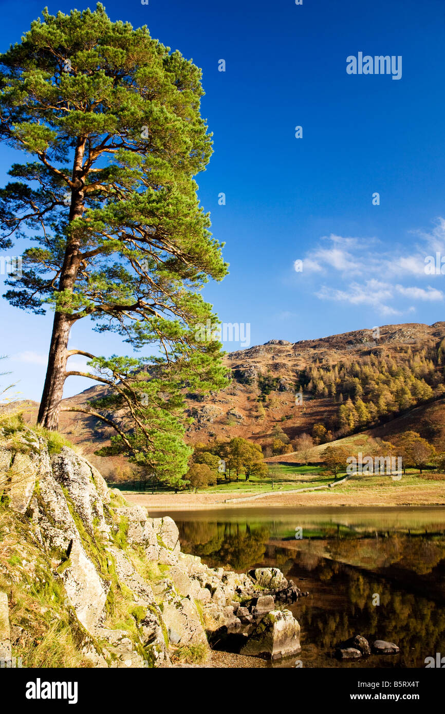 Blea tarn lake district hi-res stock photography and images - Alamy
