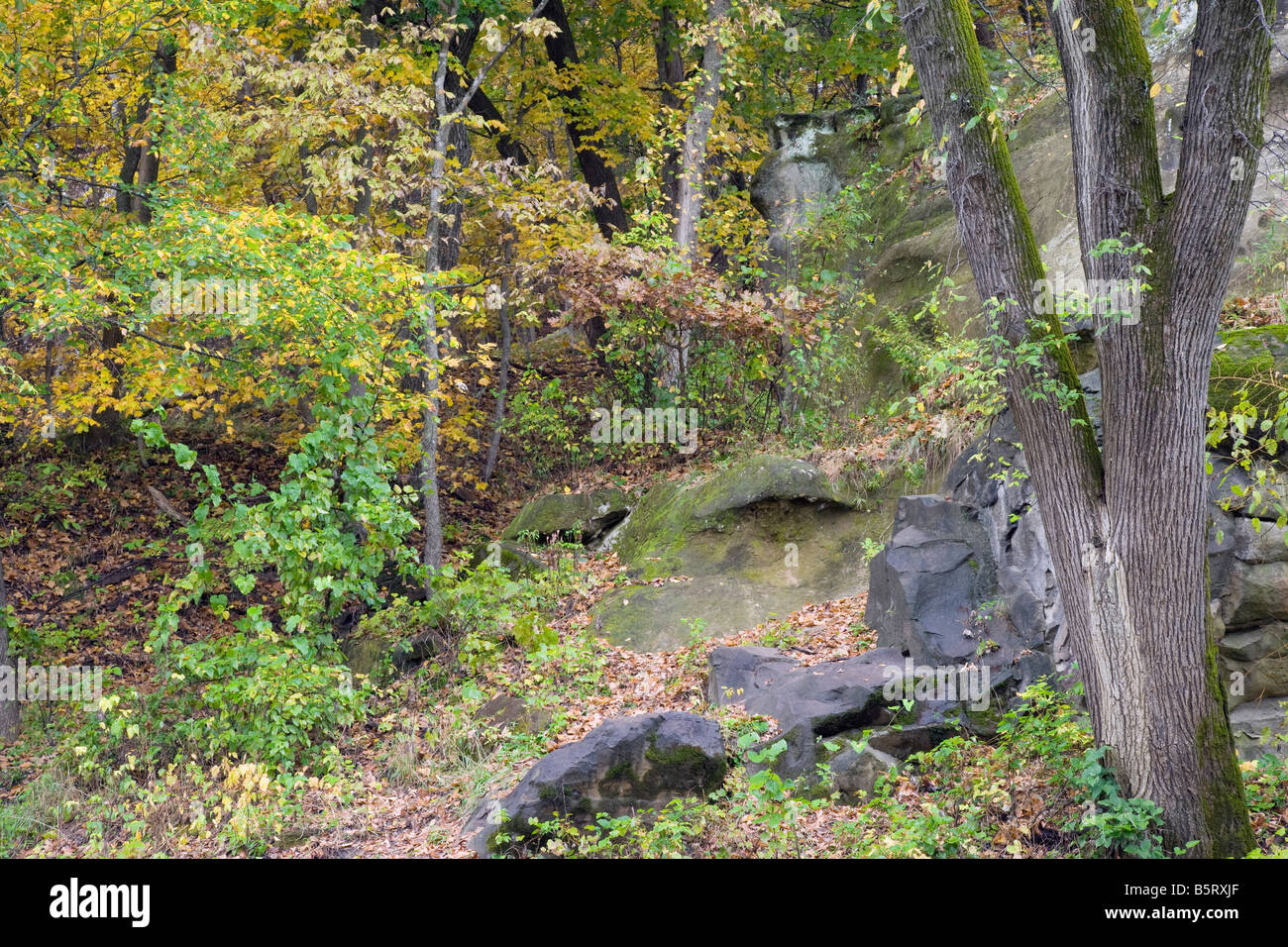 Ledges state park hi-res stock photography and images - Alamy