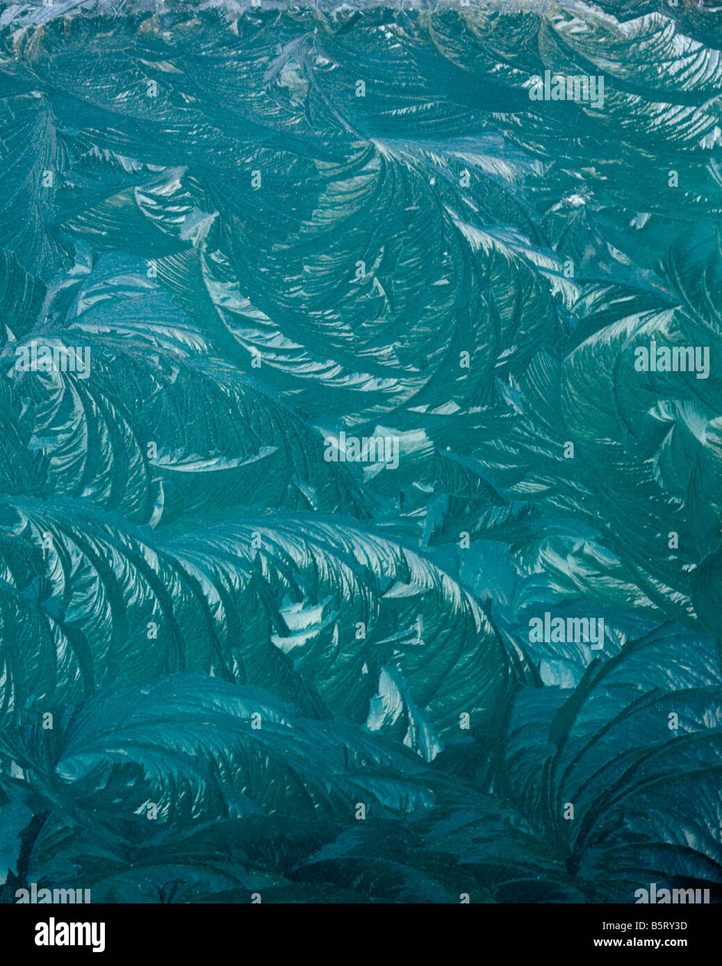 Exquisite pattern patterns hi-res stock photography and images - Alamy