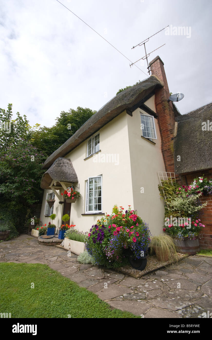 Traditional English Thatched cottage Stock Photo - Alamy