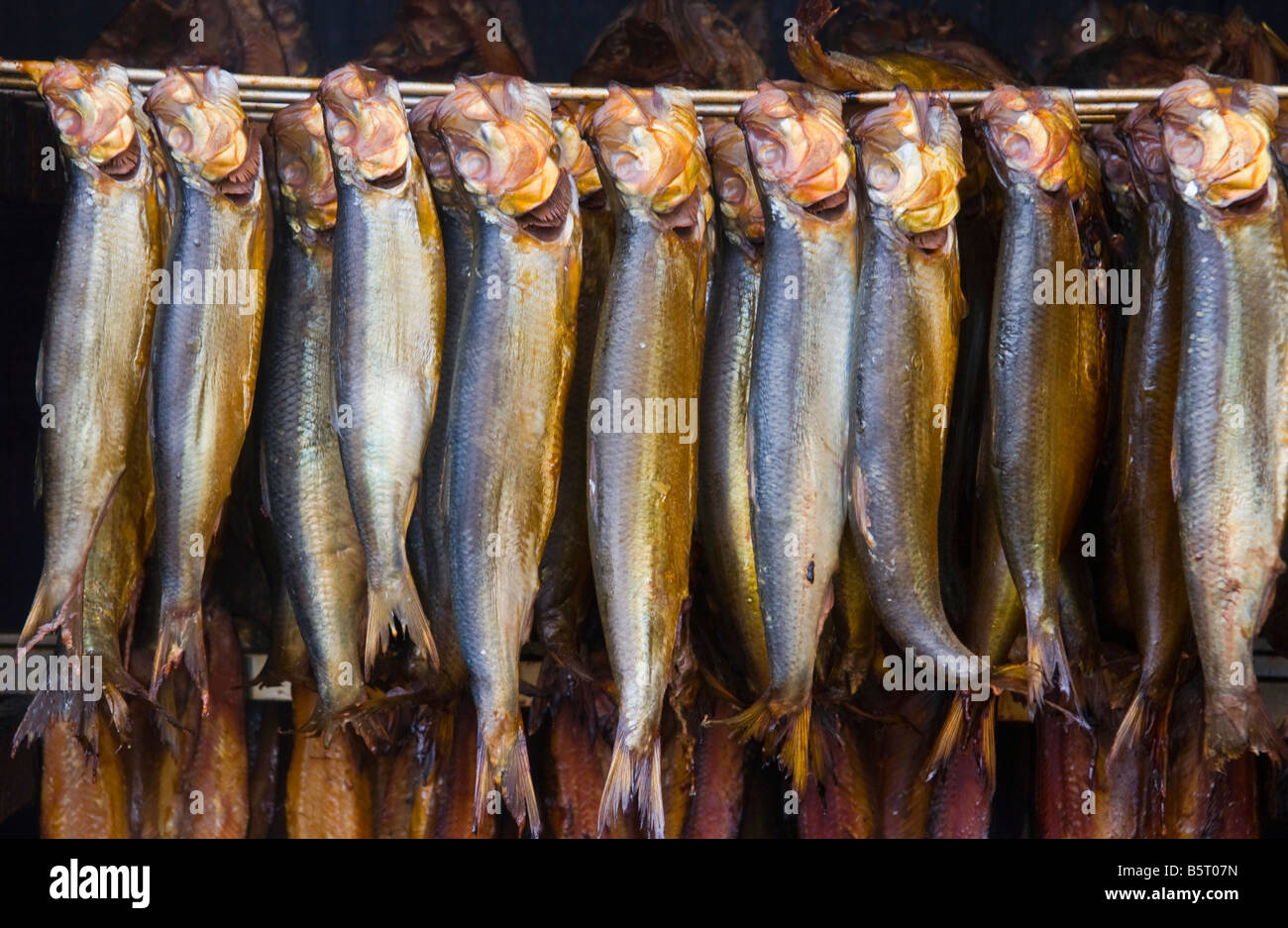 North devon food festival hi-res stock photography and images - Alamy