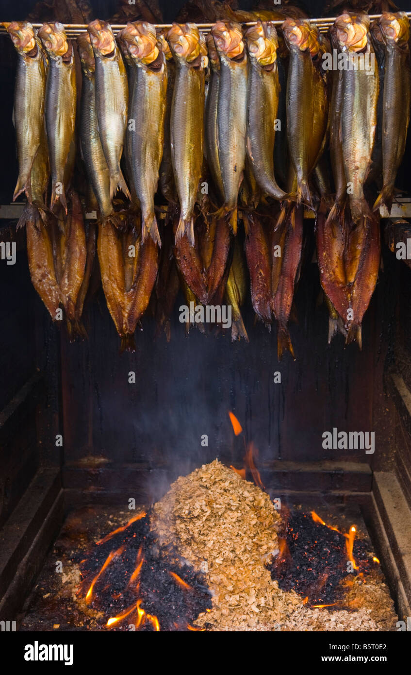 Kippers and herrings being smoked during the annual Herring Festival in ...