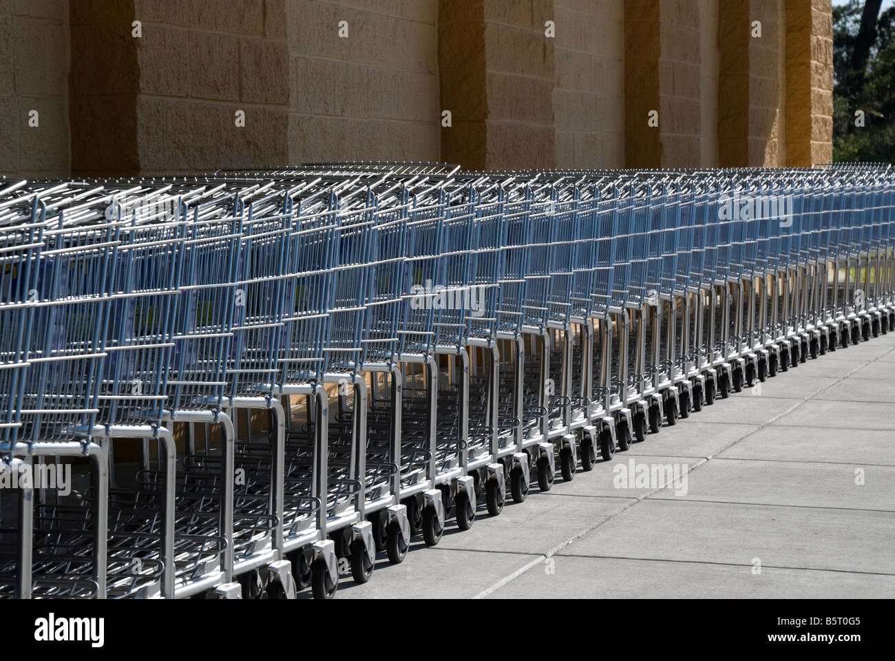 line up of shopping carts in front of grocery store order orderly Stock ...