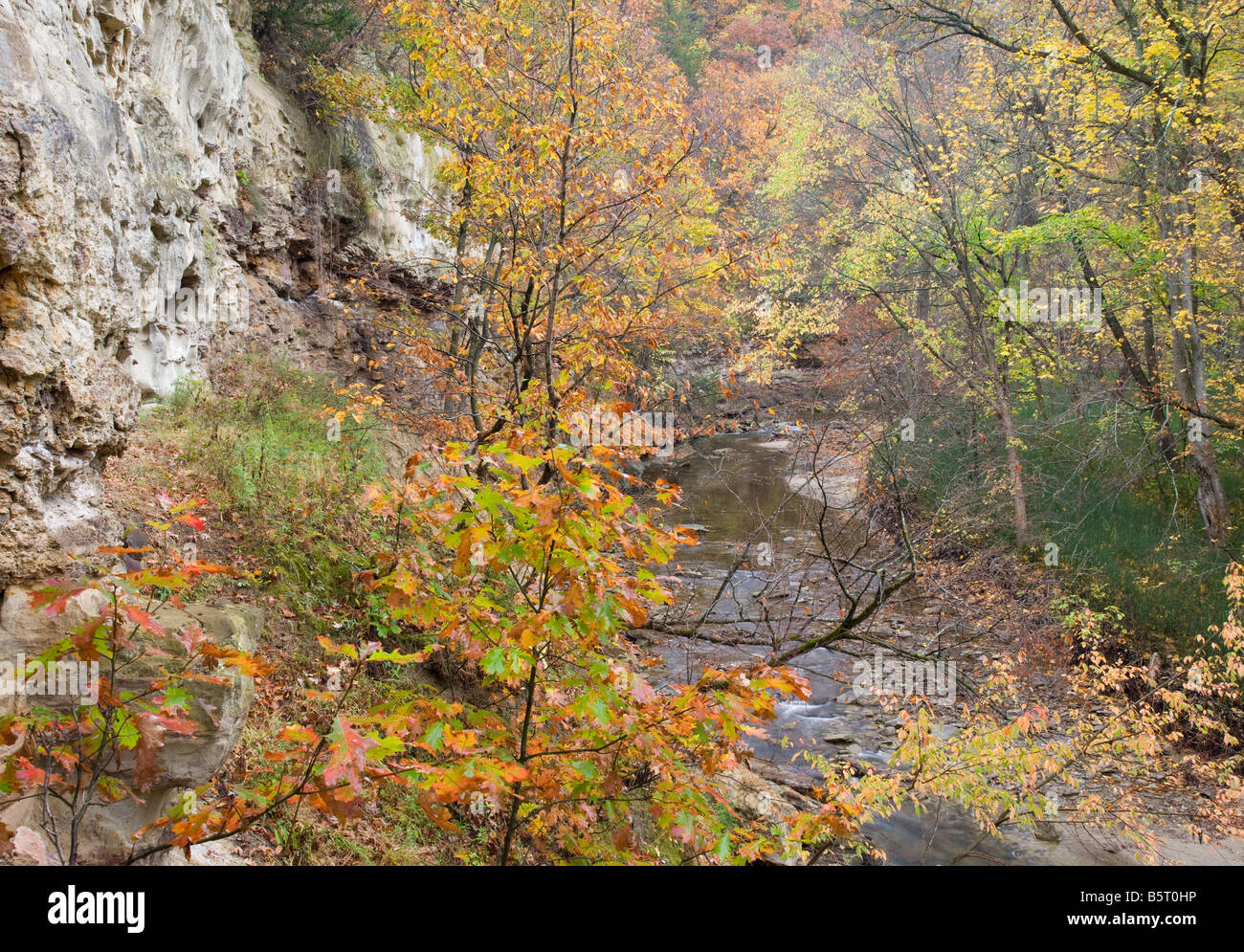 sandstone cliff above Prairie Creek, Dolliver Memorial State Park, Iowa ...