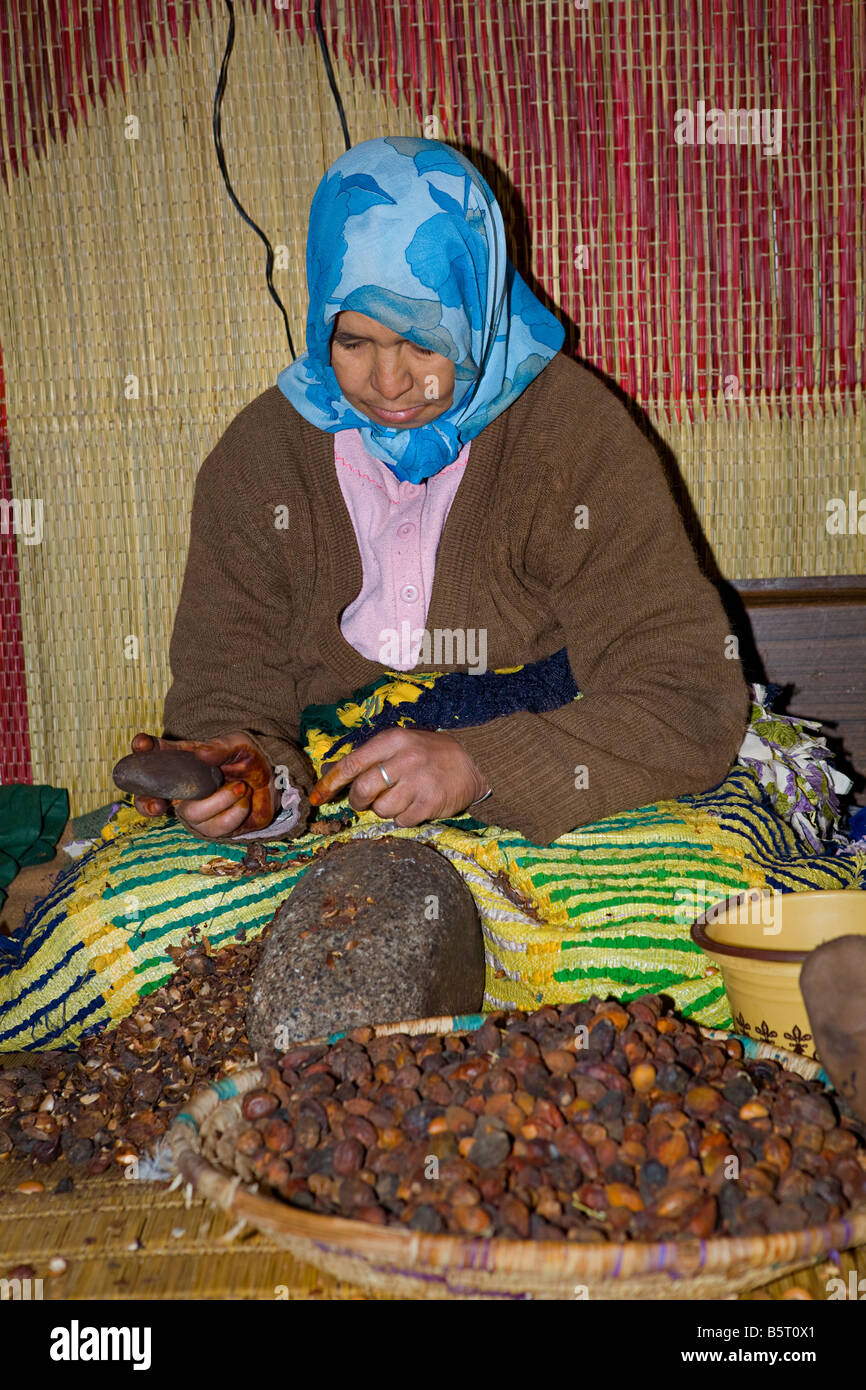 Girls refining Argan oil from the Argania Spinosa ( Argan Tree ) in the ...