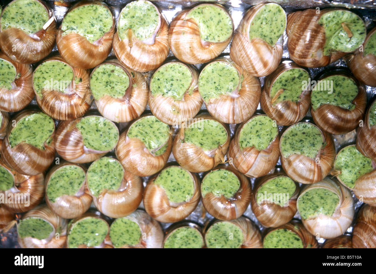 closeup of display dish of Escargot Stock Photo - Alamy