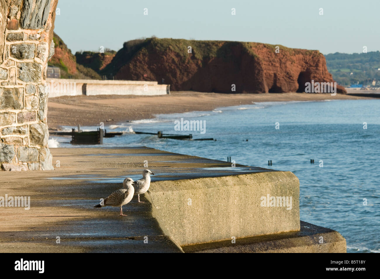 The sea front at Dawlish Stock Photo - Alamy