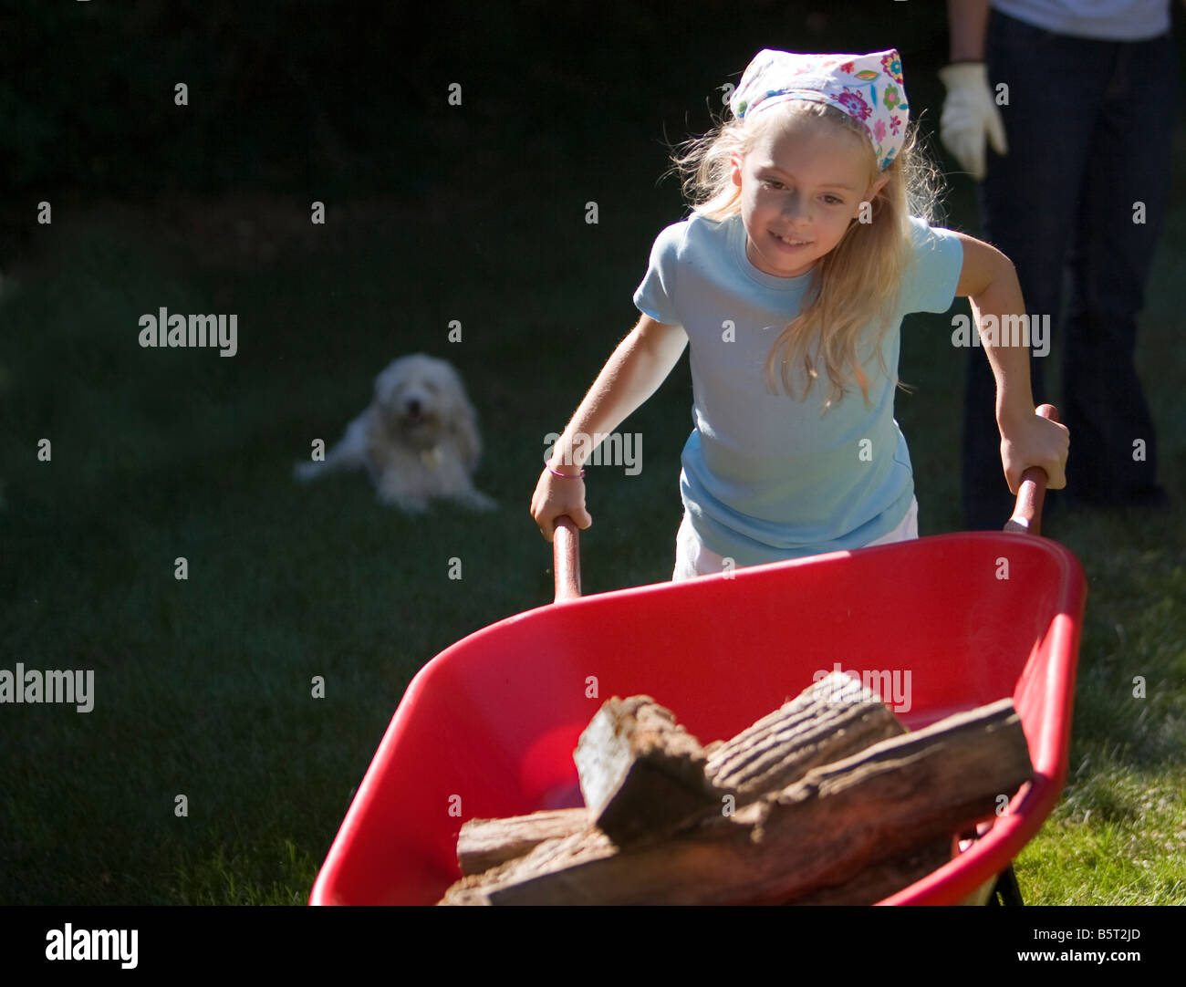 Child pushing a wheelbarrow Stock Photo - Alamy