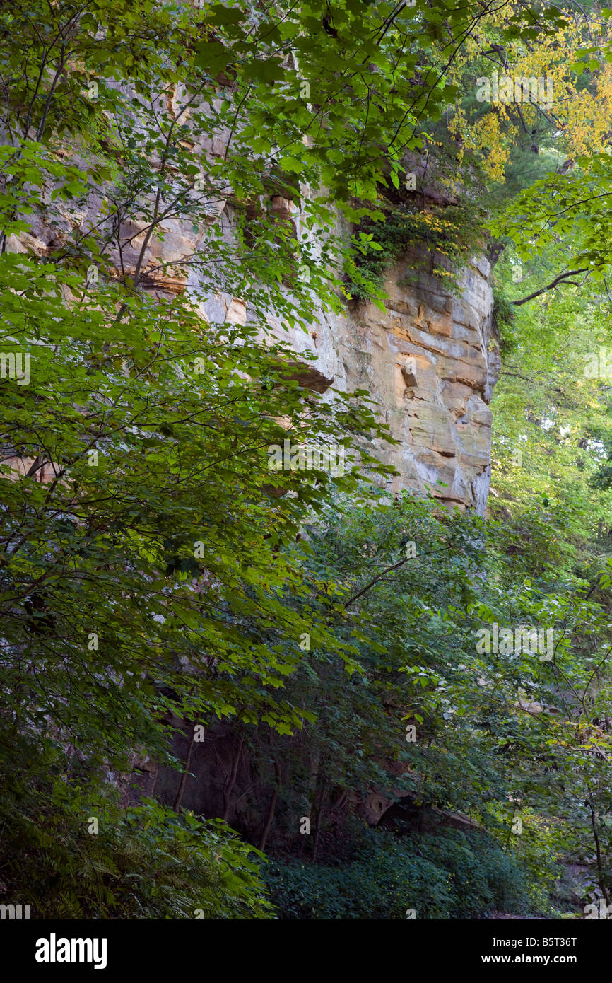 sandstone bluff, Wildcat Den State Park, Iowa Stock Photo - Alamy