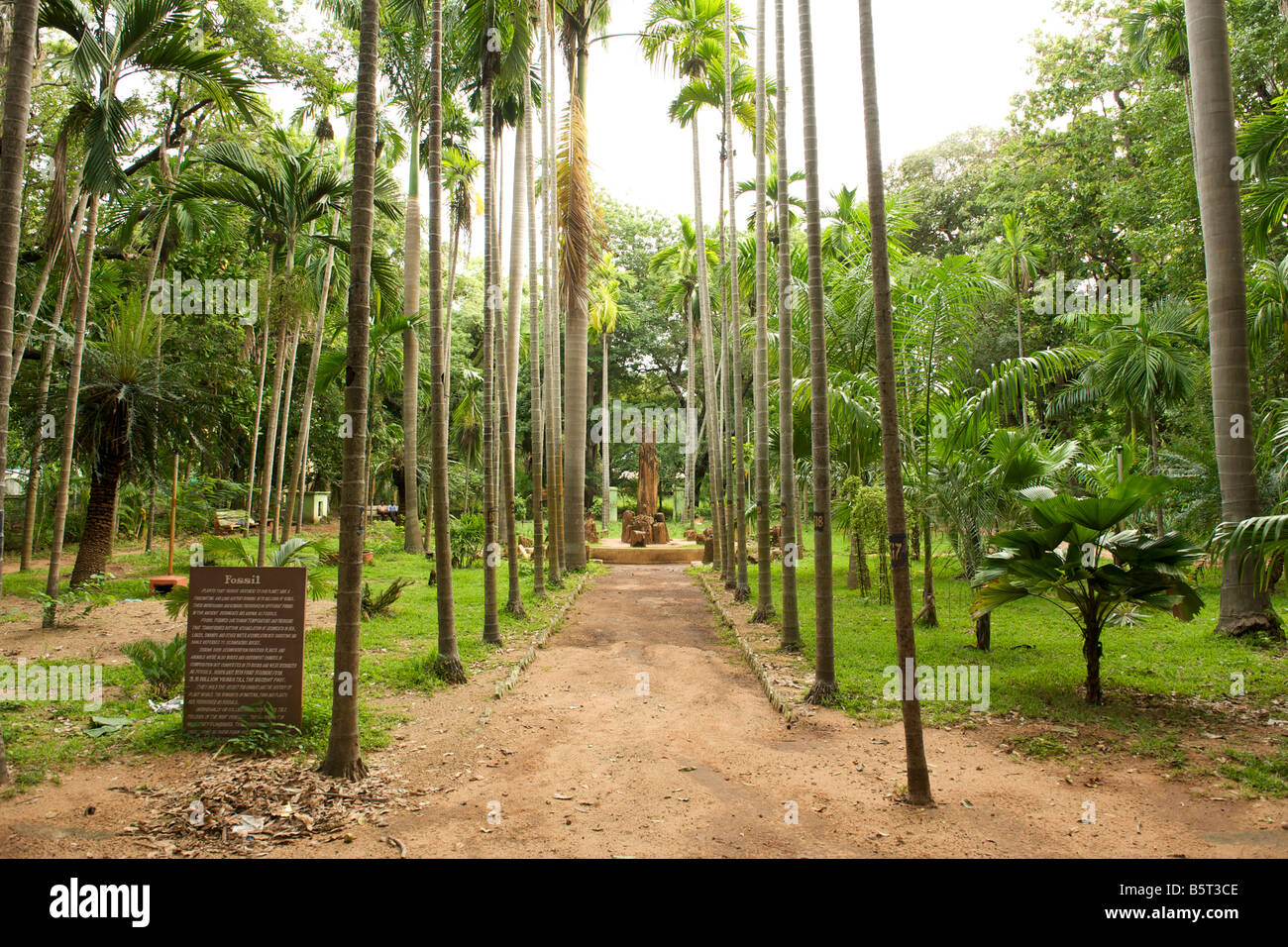 The Botanical Gardens in Pondicherry India Stock Photo - Alamy