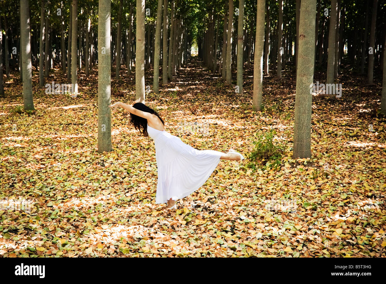 Female dancer posing in a forest Stock Photo - Alamy