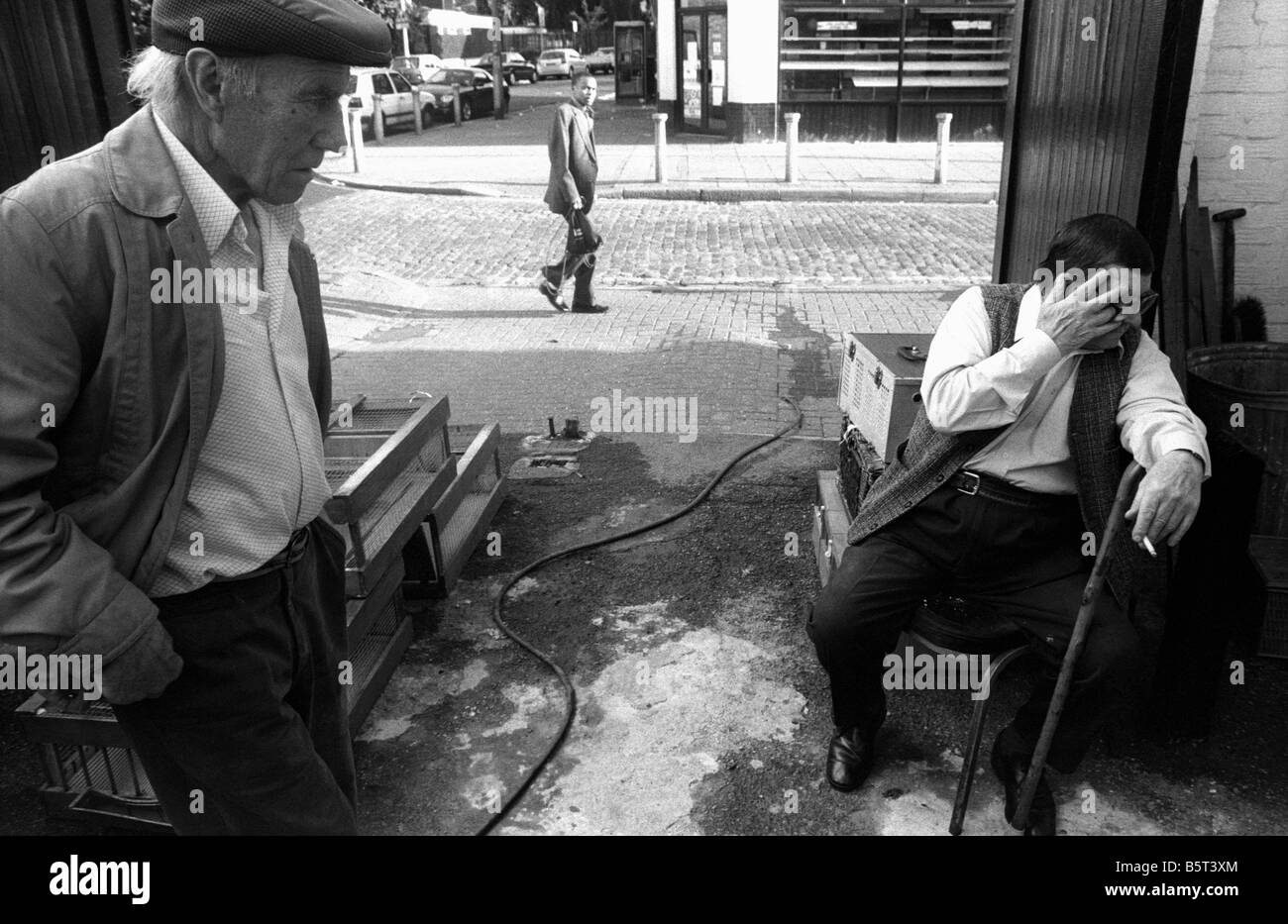 Pigeon racing in the UK. Working class sport Stock Photo - Alamy