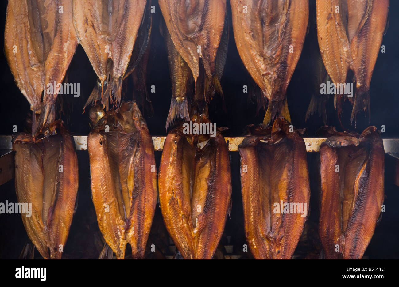 Kippers and herrings being smoked during the annual Herring Festival ...