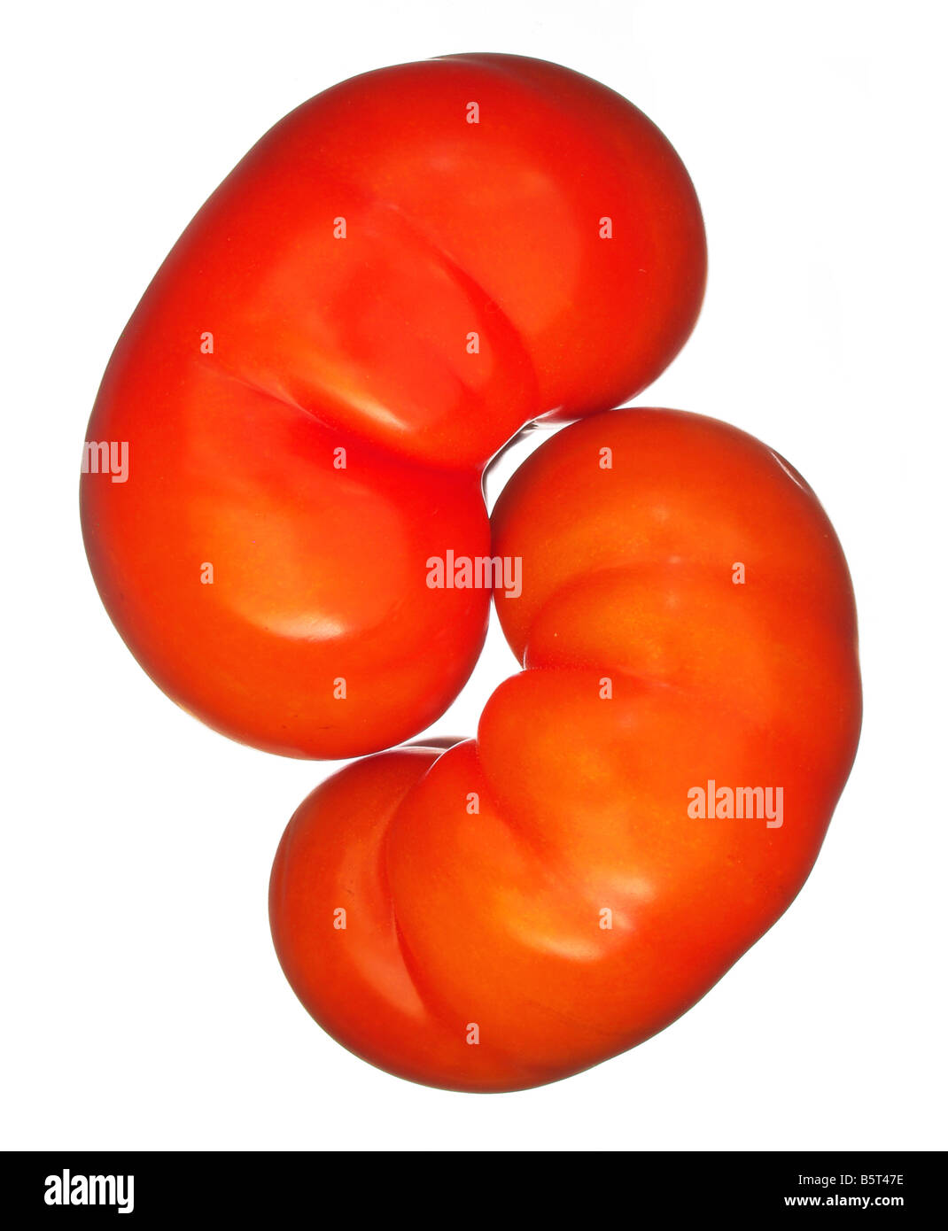 two tomatoes high key fruit red Stock Photo - Alamy