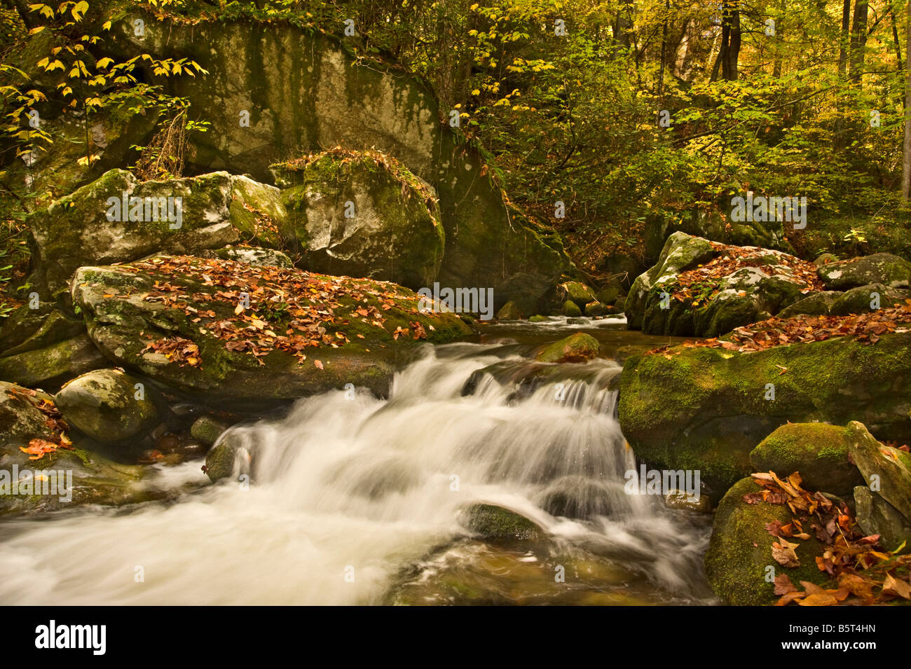 Photo of a mountain stream with fall colors and moss covered rocks ...
