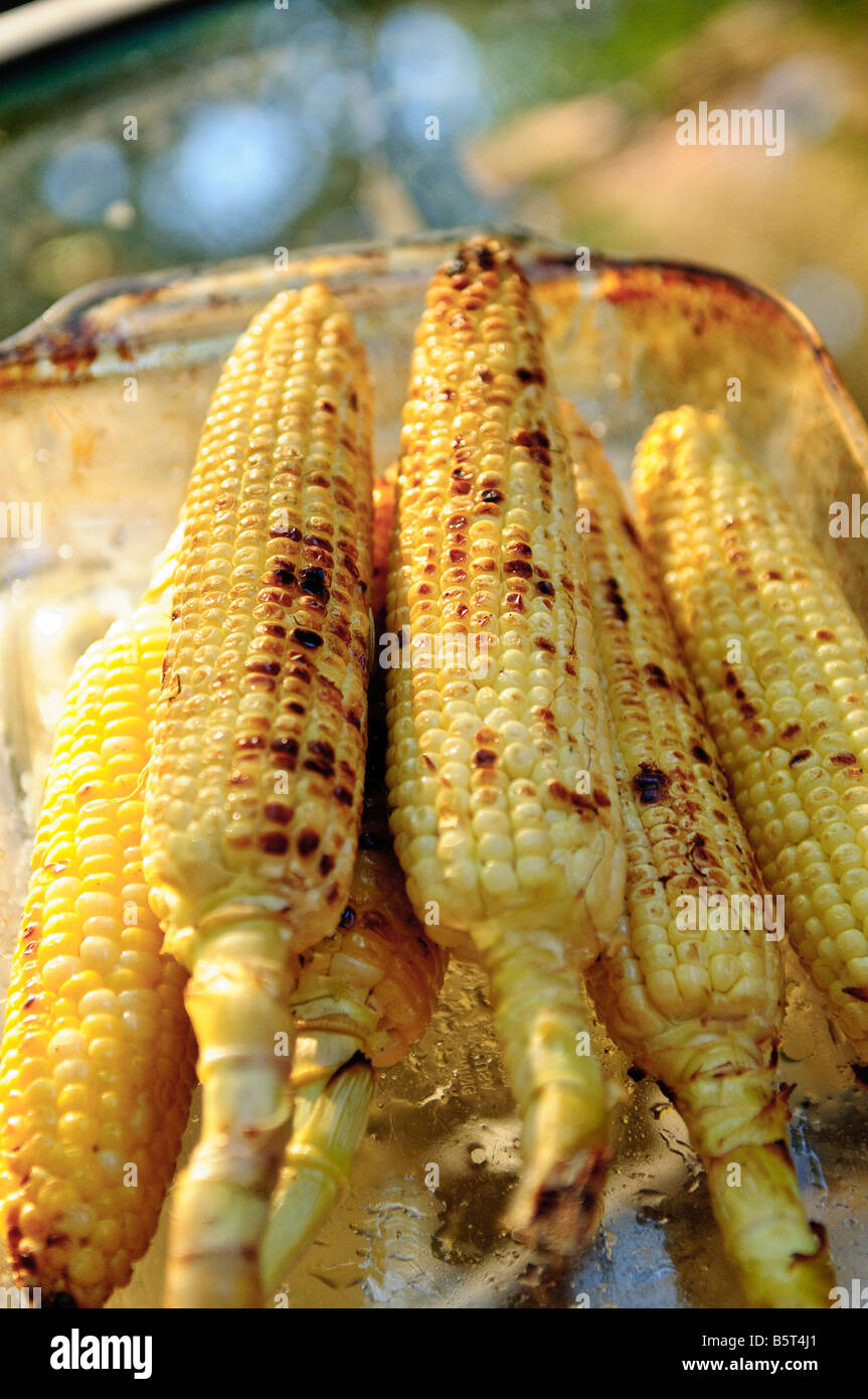 Corn on the cob vertical hi-res stock photography and images - Alamy