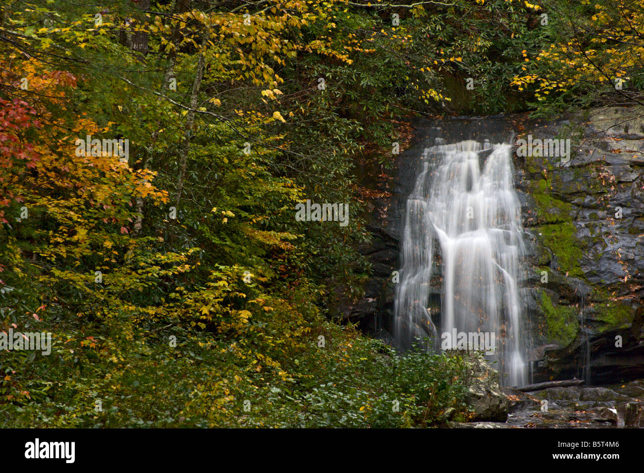 Photo of a mountain stream and waterfall with fall colors Stock Photo ...