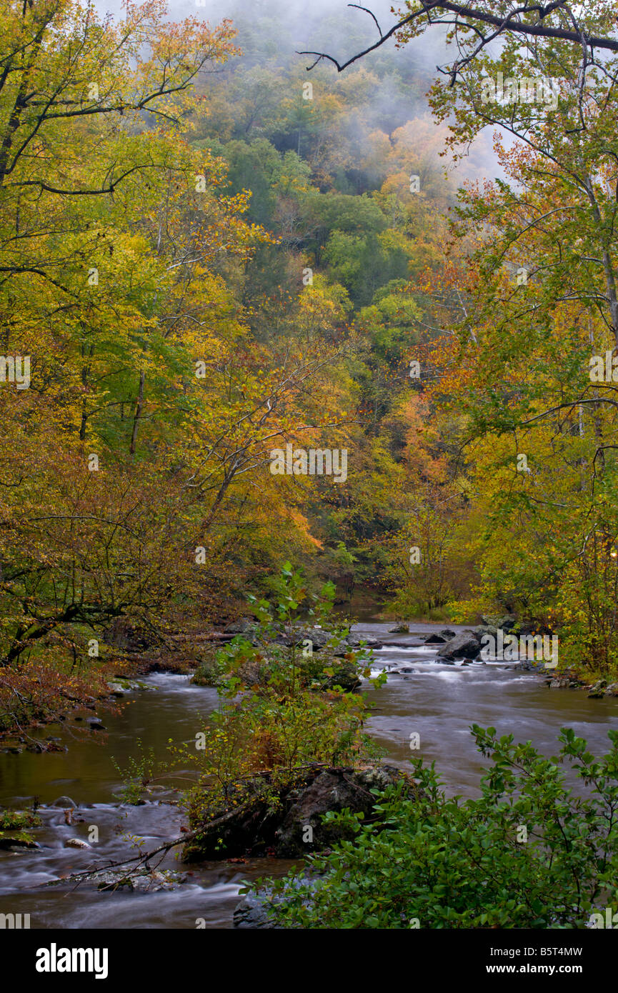 Photo of a mountain stream with fall colors and a mist hanging in the ...