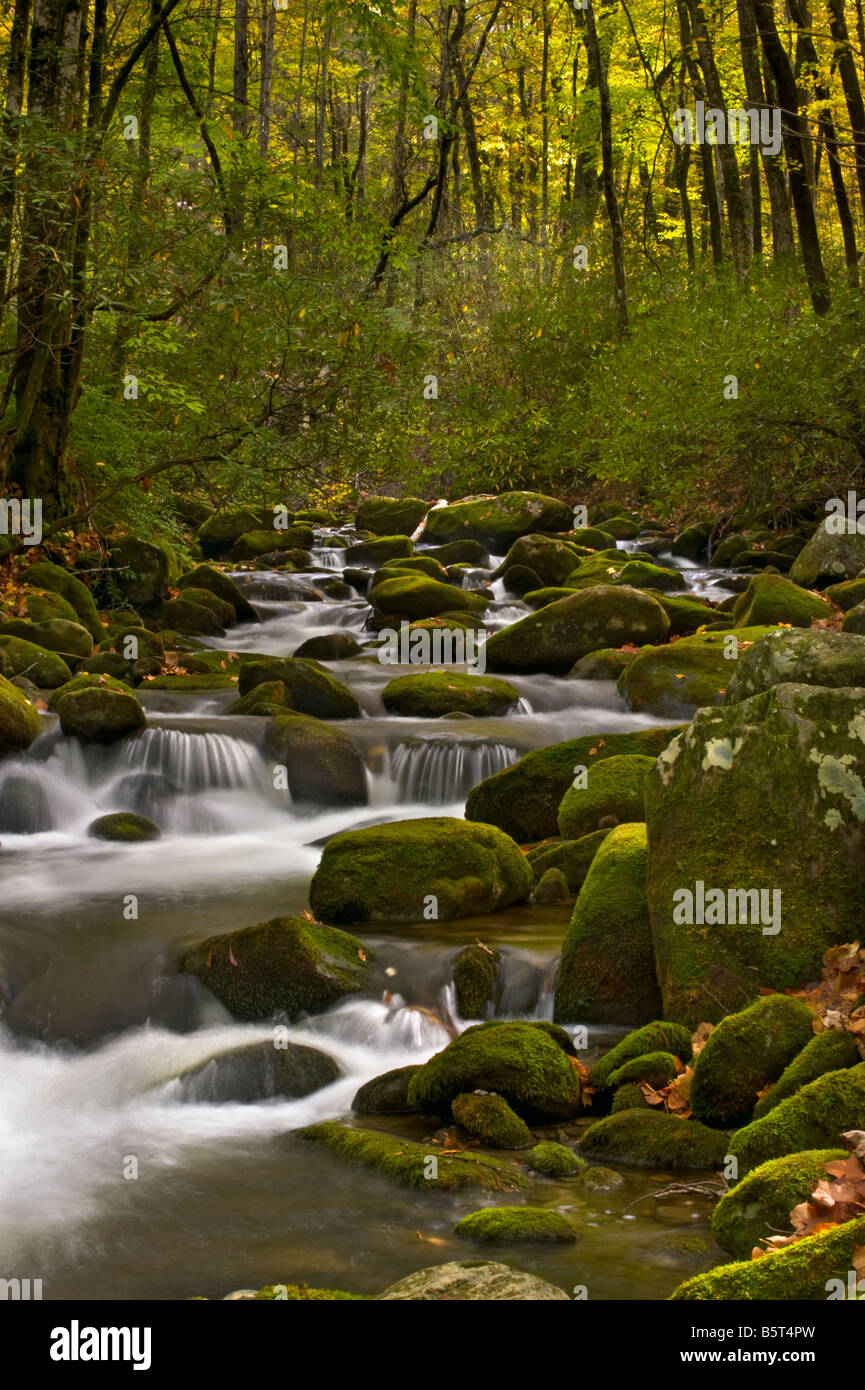 Photo of a mountain stream with fall colors reflecting in the water ...