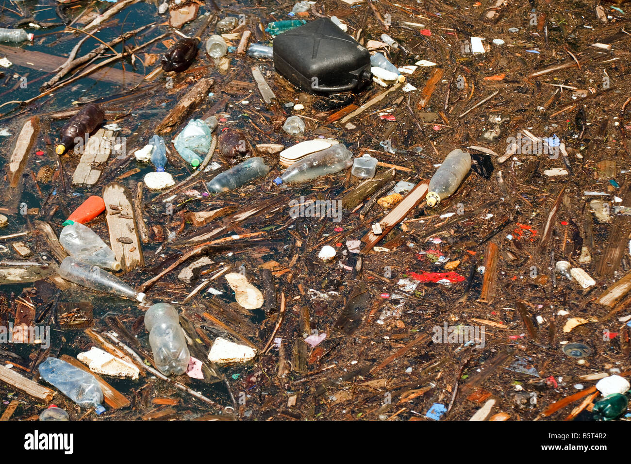 detail of intense pollution on lake water Stock Photo - Alamy