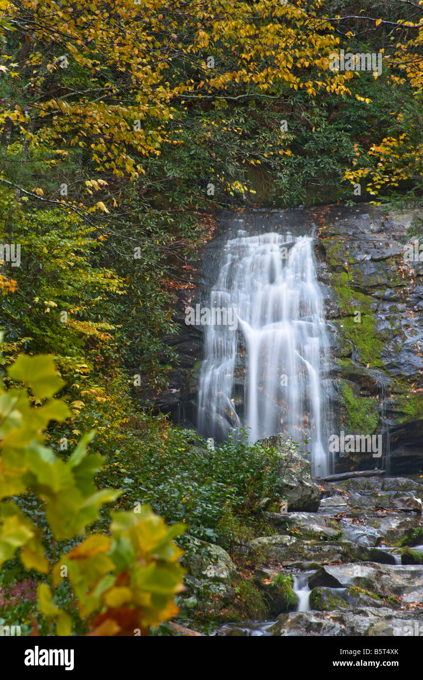 Stream fall colors hi-res stock photography and images - Alamy