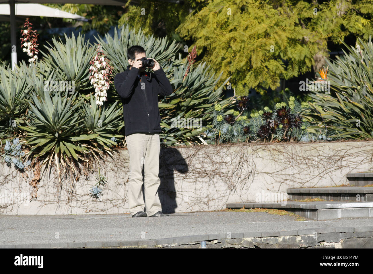 photographer in the park Stock Photo - Alamy