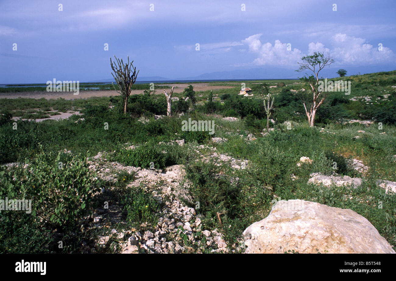 Extreme soil erosion and deforestation mean that Haiti's environment is ...