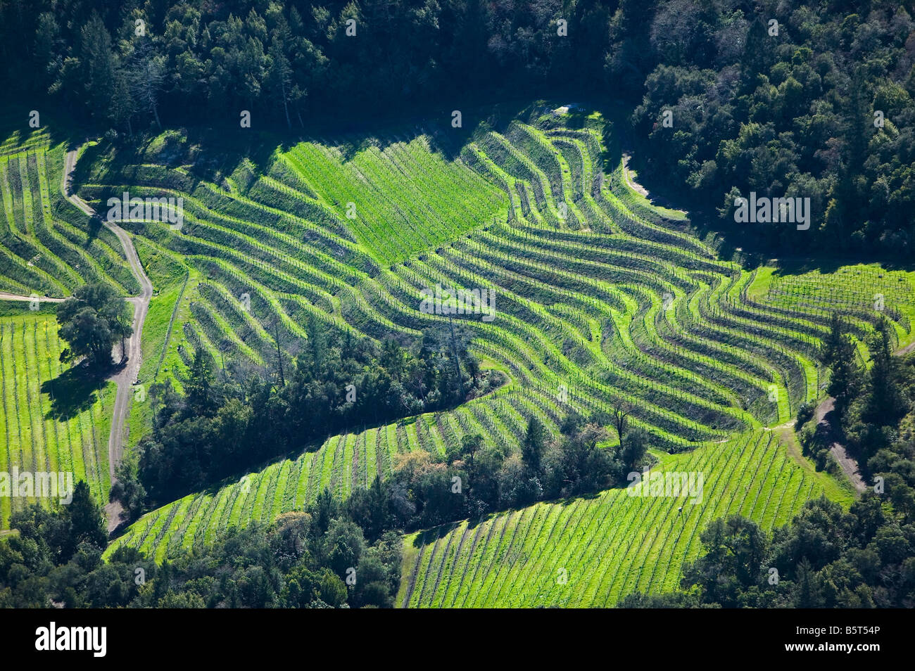 Oak valley plantation hi-res stock photography and images - Alamy