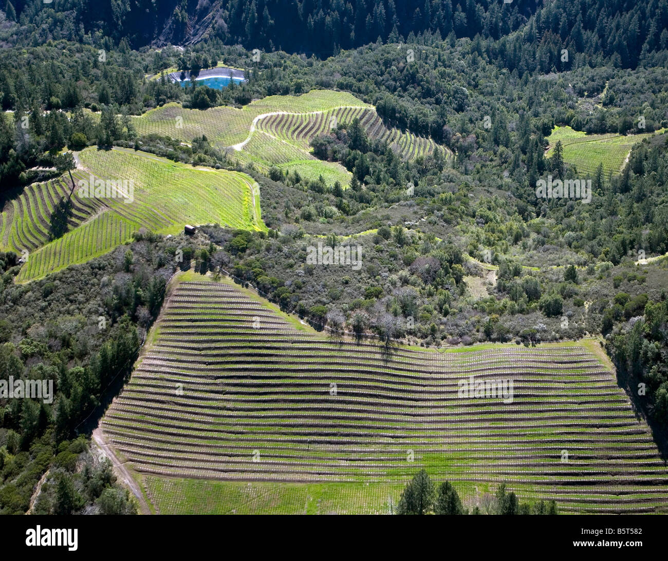 Aerial overview of napa valley hi-res stock photography and images - Alamy