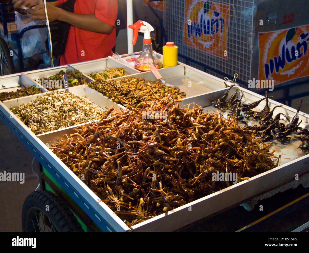 A cart of insects for sale as snacks on Khao San Road Bangkok Thailand ...