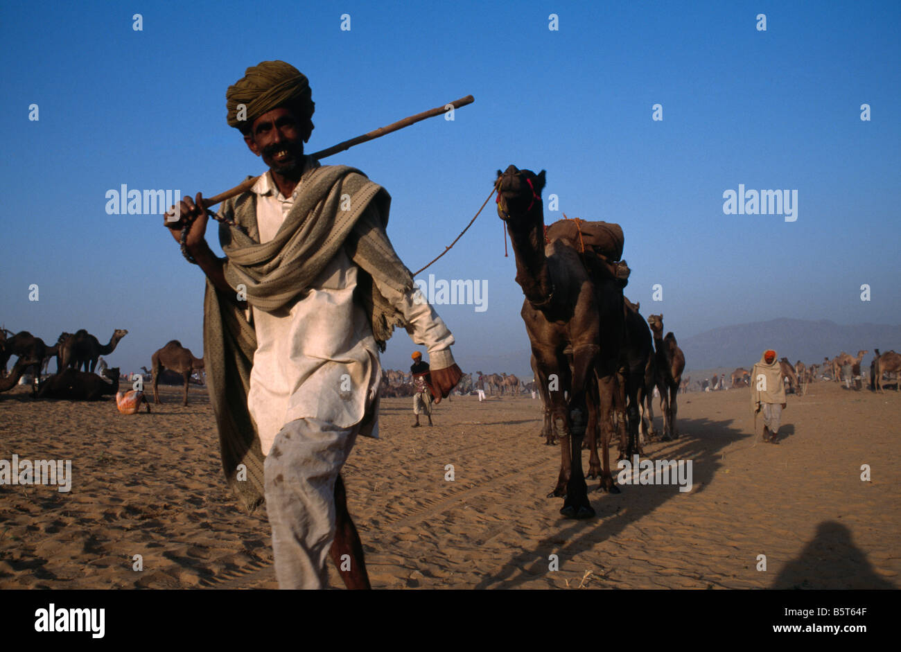 Camel trader at the Pushkar fair in India Stock Photo - Alamy