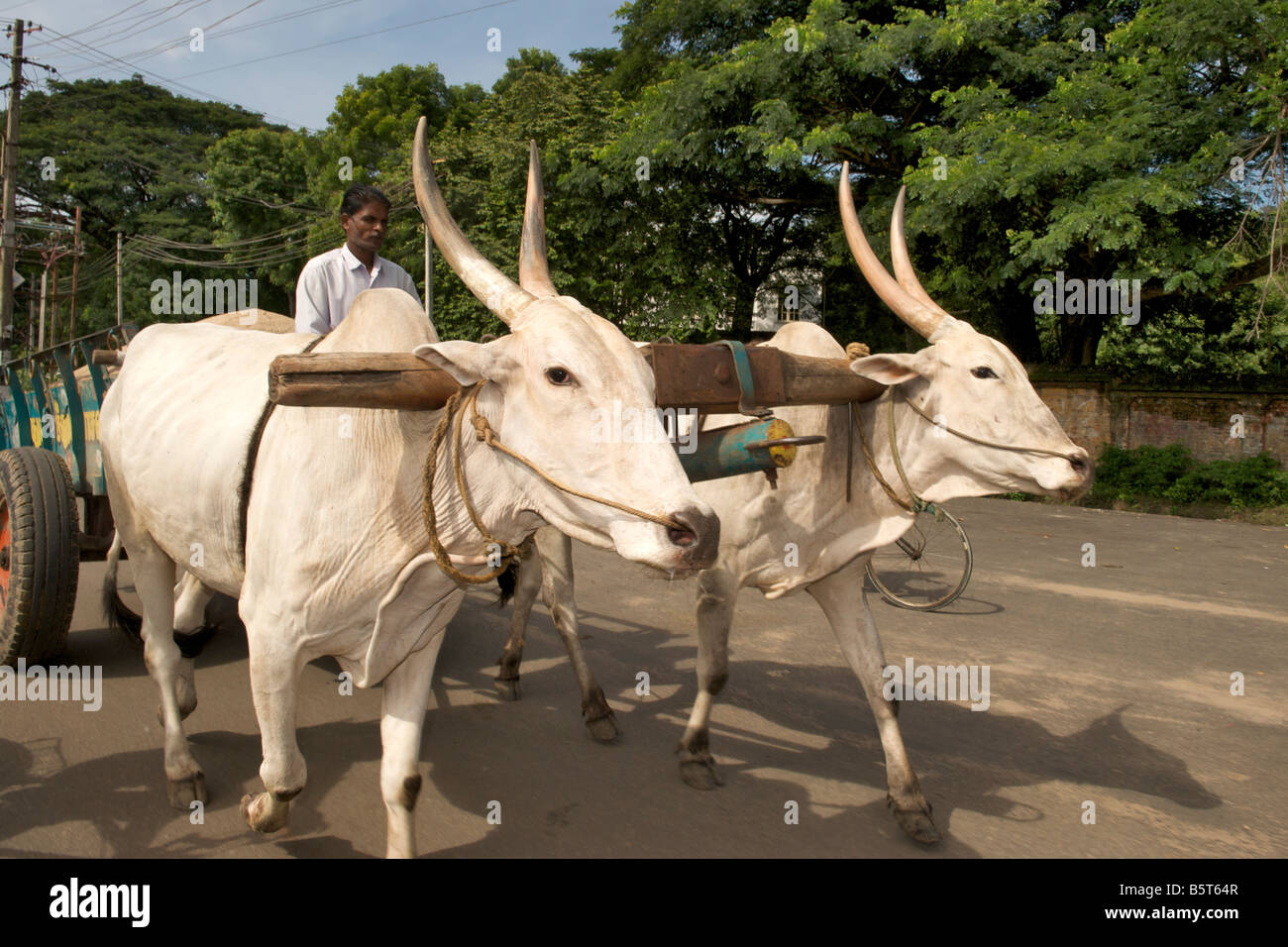 Ox cart india hi-res stock photography and images - Alamy
