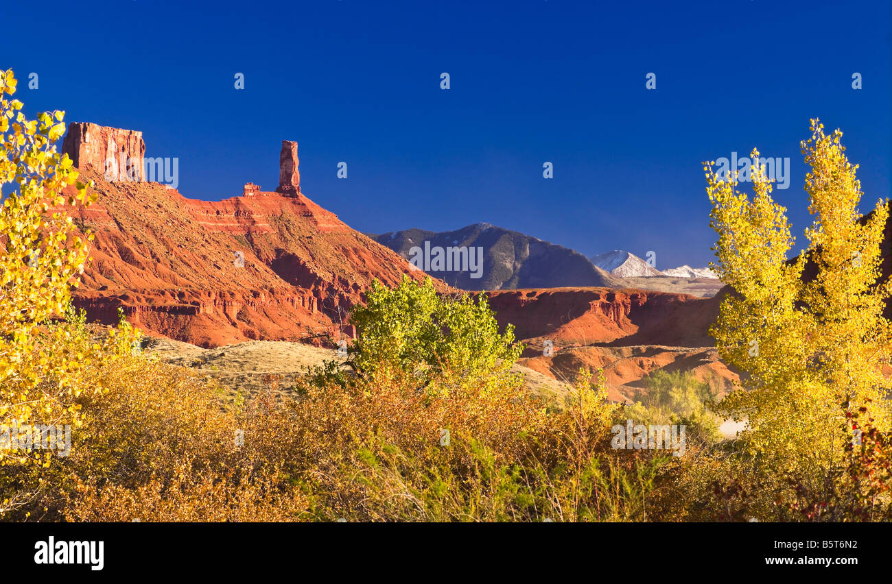 Foliage in Castle Valley Stock Photo - Alamy