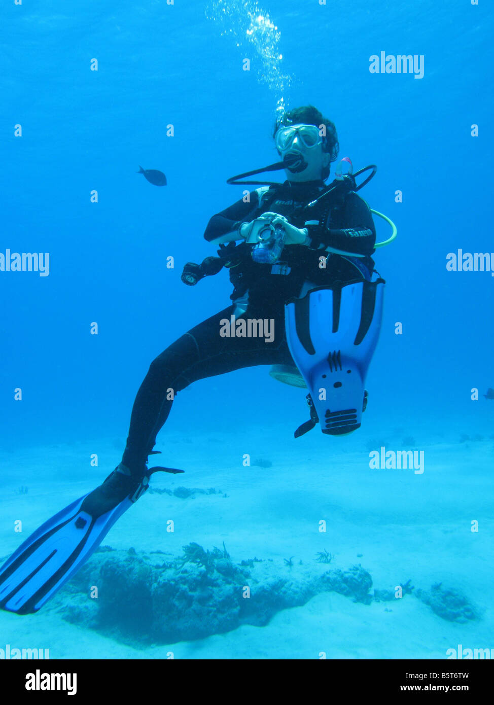 female scuba diver floating Stock Photo - Alamy