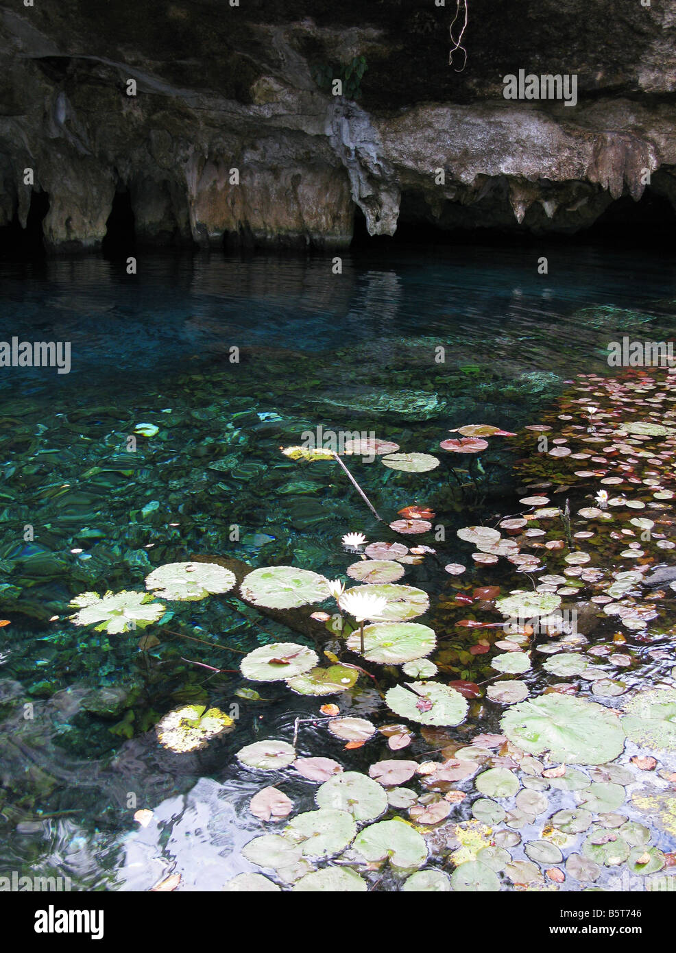 Cenote mexico hi-res stock photography and images - Alamy