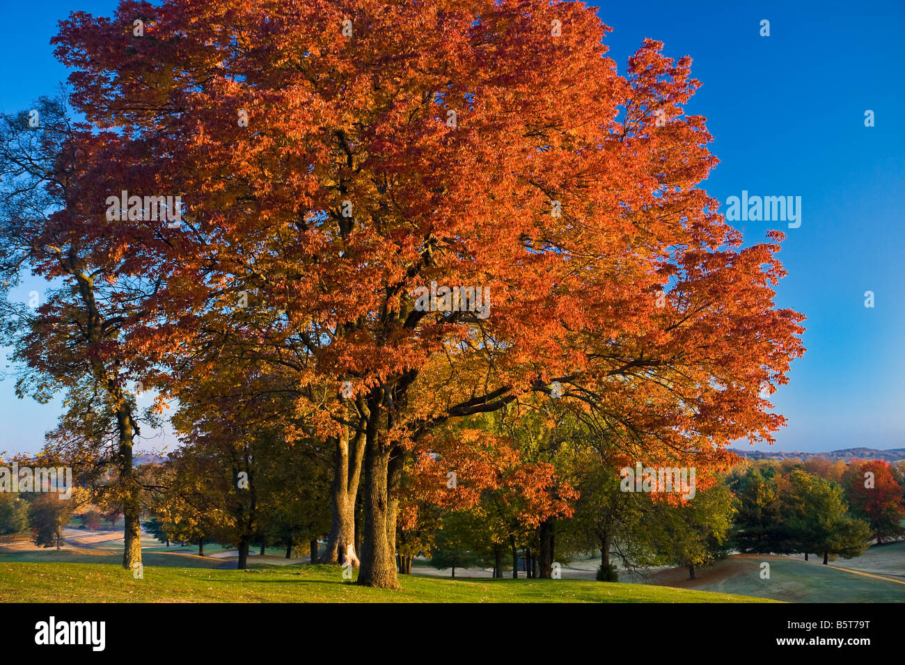 Fall Color in Tennessee Stock Photo - Alamy