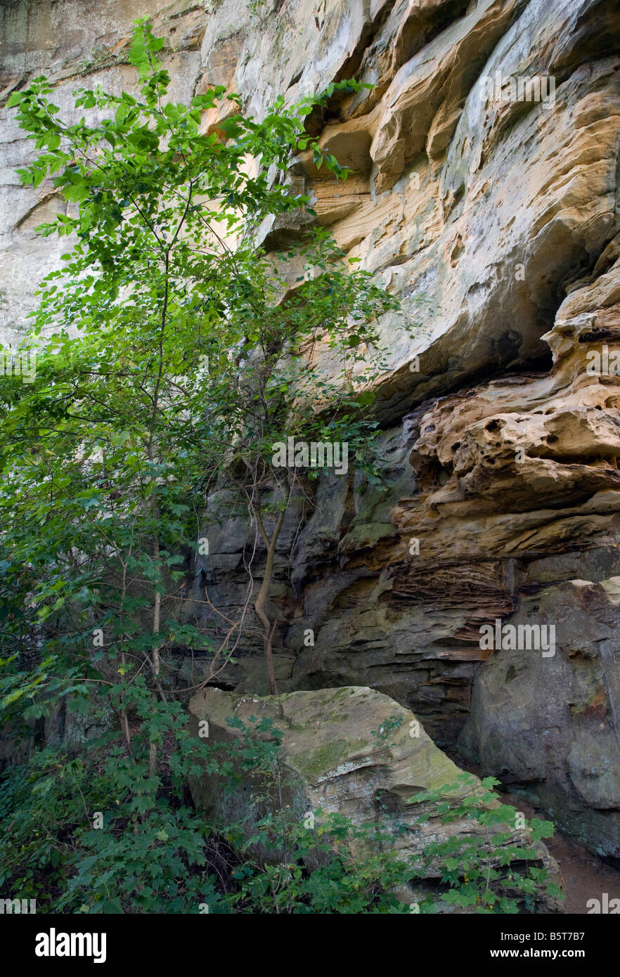 Wildcat Den State Park Stock Photos & Wildcat Den State Park Stock ...