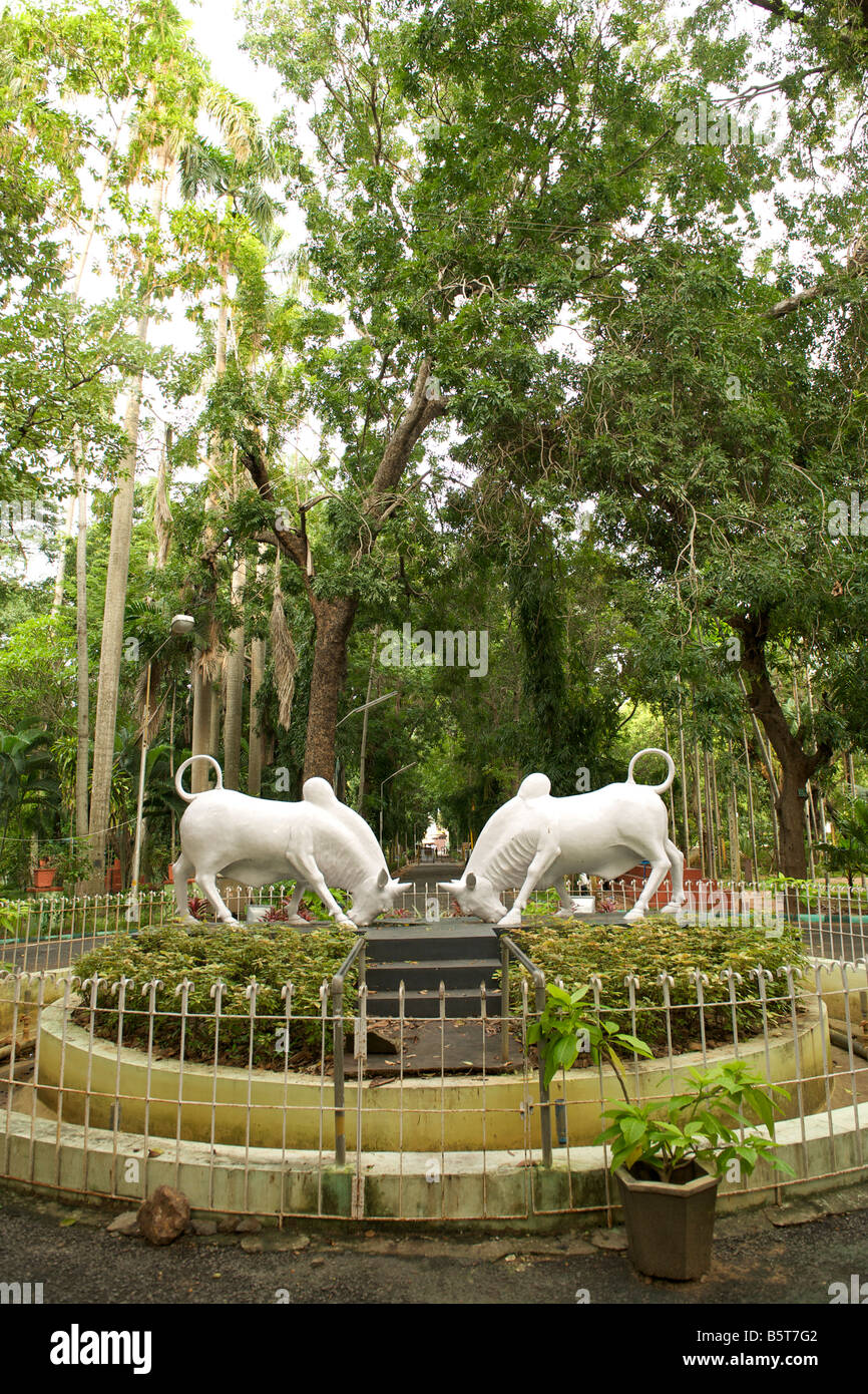 The Botanical Gardens in Pondicherry India Stock Photo - Alamy