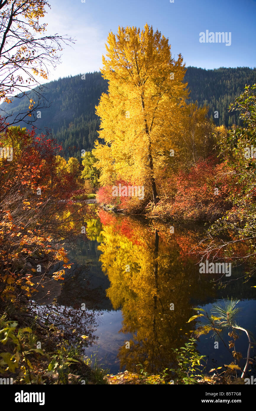 Fall Colors Wenatchee River Stevens Pass Leavenworth Washington Stock ...