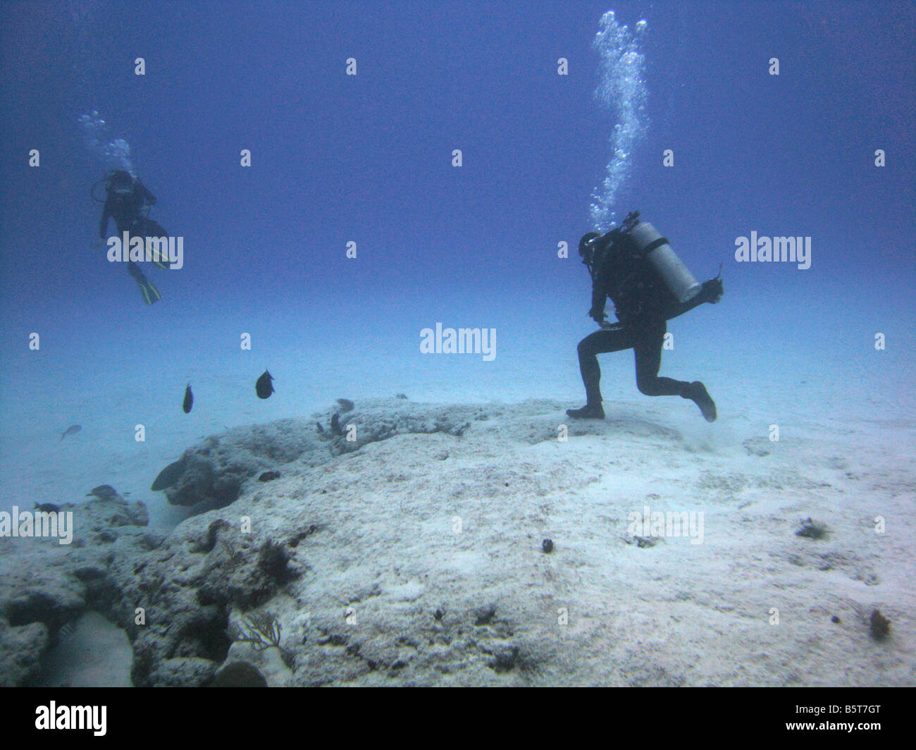 scuba diver walking on sea bed Stock Photo - Alamy