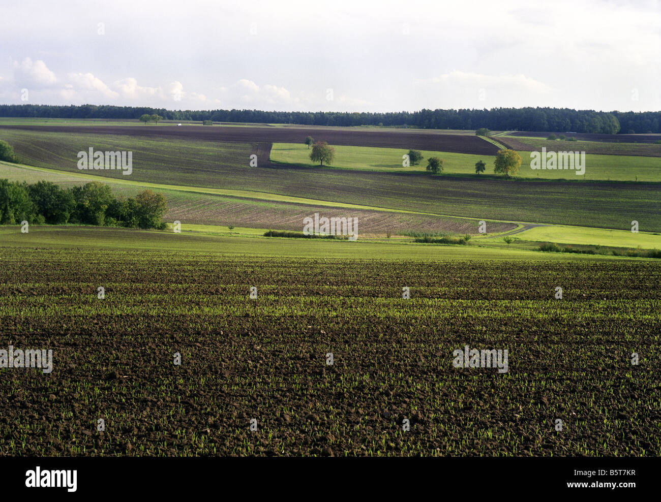 Crops on a field hi-res stock photography and images - Alamy