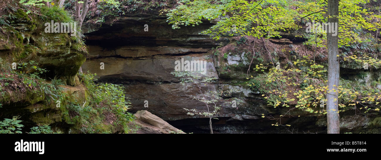 Wildcat den state park hi-res stock photography and images - Alamy
