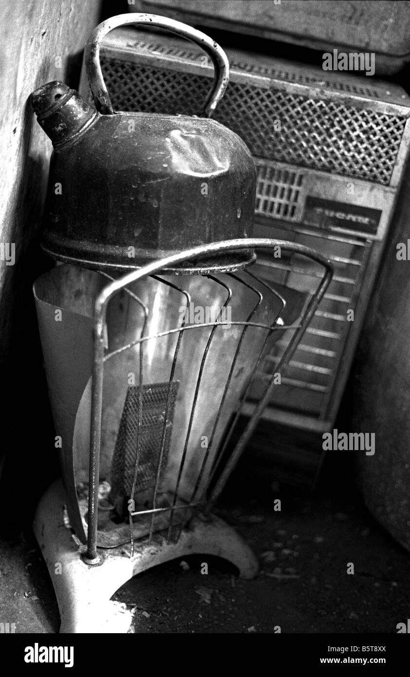 Pigeon racing in the UK. Working class sport Stock Photo - Alamy