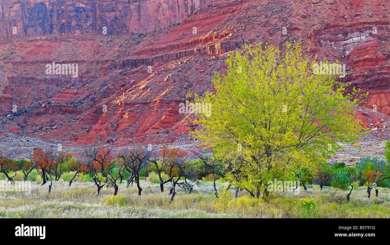 Cliff rock fall hi-res stock photography and images - Alamy