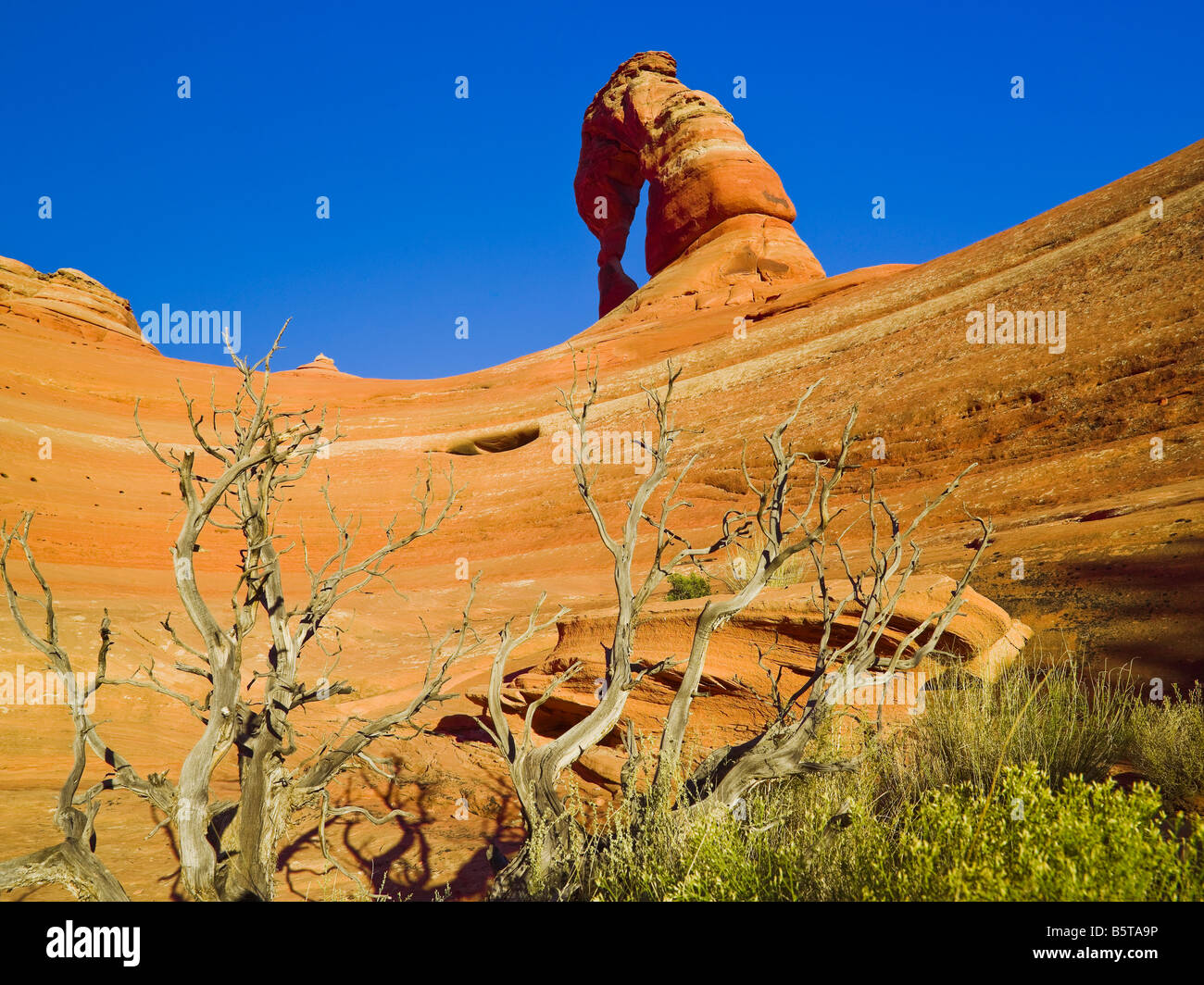 Delicate Arch in the Arches National Park Stock Photo - Alamy