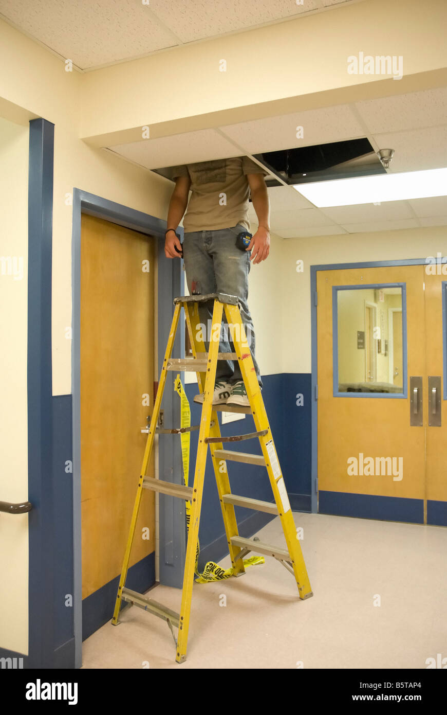 man working on ladder fixing ceiling Stock Photo - Alamy