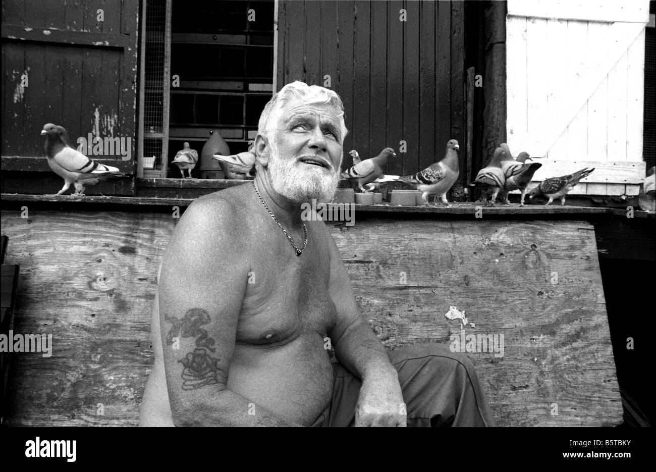 Pigeon racing in the UK. Working class sport Stock Photo - Alamy