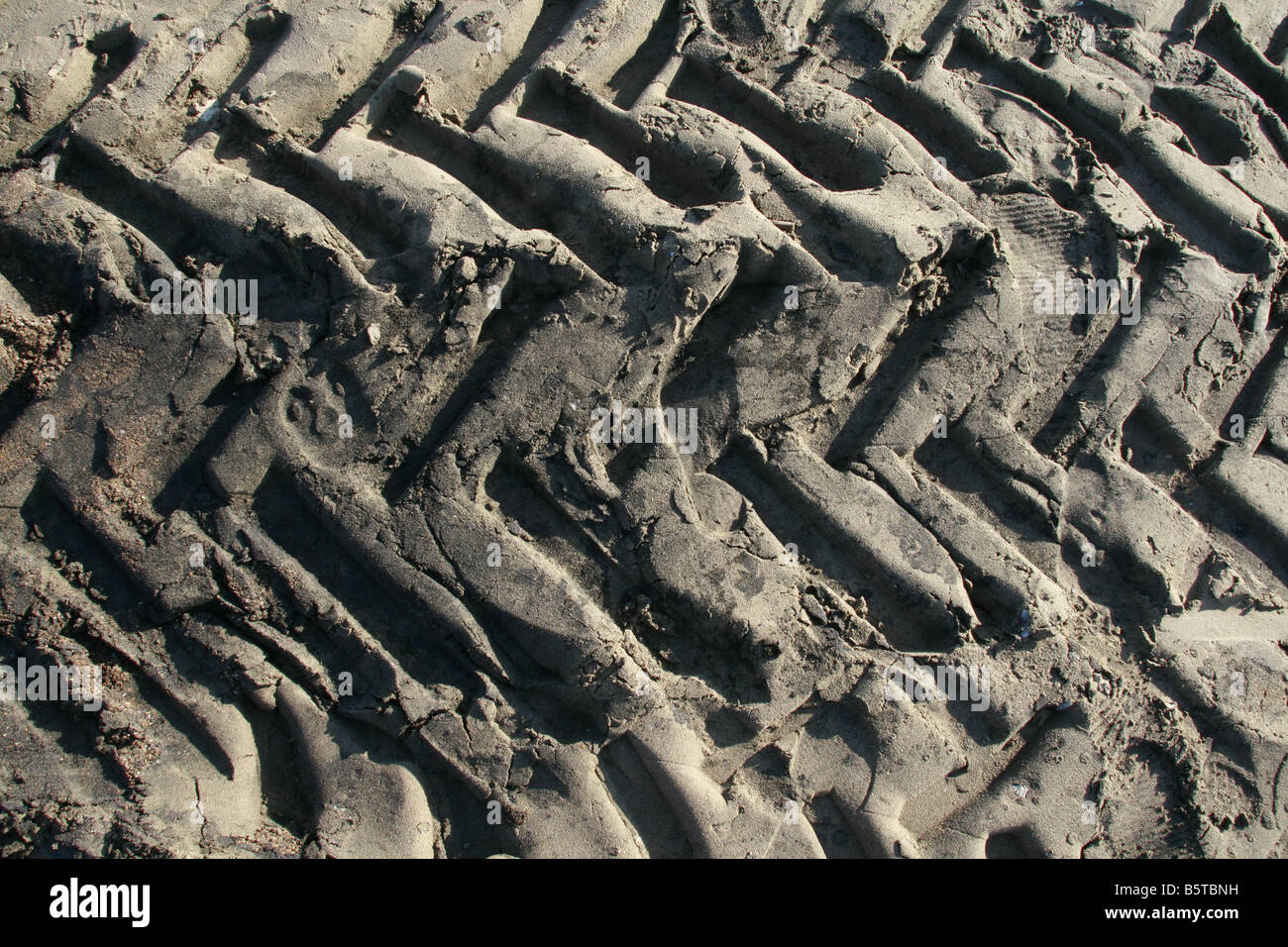 tractor tyre tracks crossing in mud country lane Stock Photo - Alamy