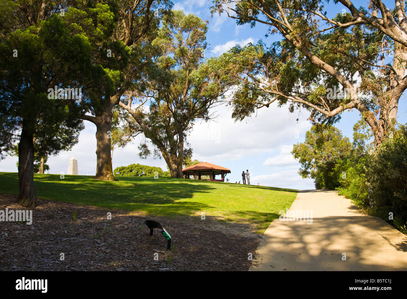 Kings park perth western australia hi-res stock photography and images ...