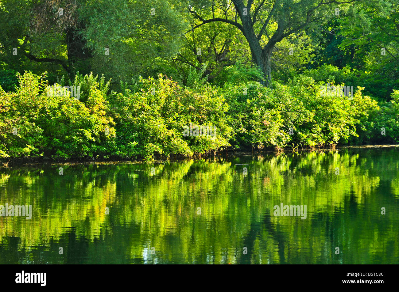 Pond river calm calmness surface of water hi-res stock photography and ...